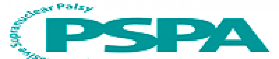 cropped-psp-logo1.png | PSPA Ireland